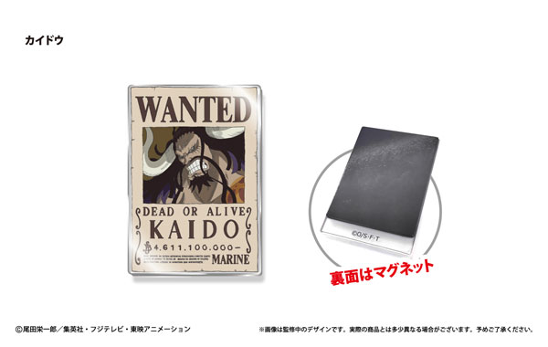 One Piece Wanted Poster Dragon