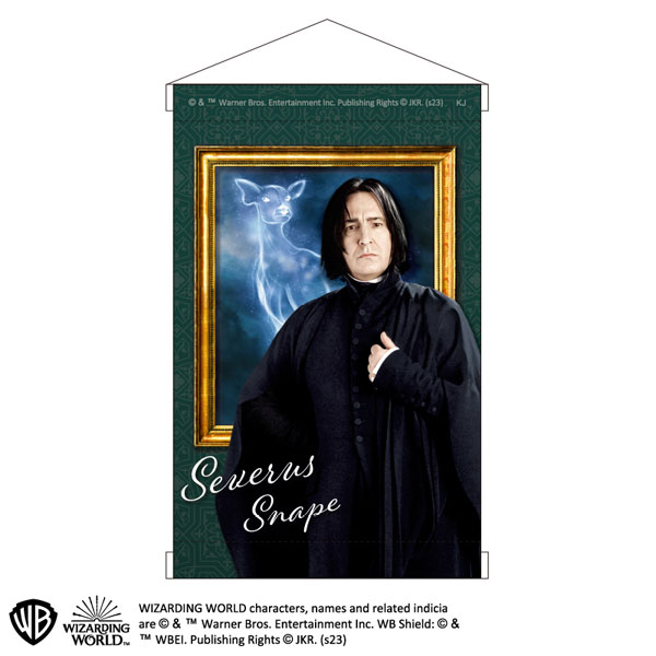 Severus Snape Harry Potter