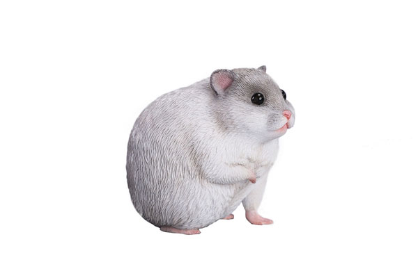 AmiAmi [Character & Hobby Shop]