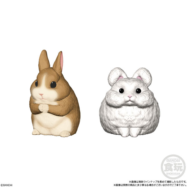 AmiAmi [Character & Hobby Shop]