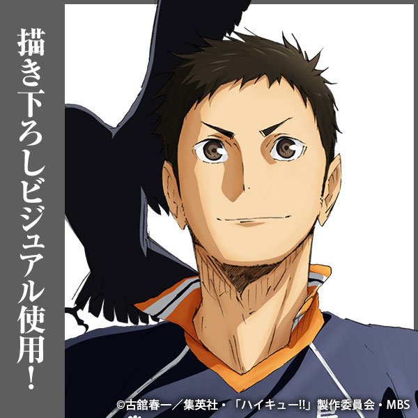 Haikyuu Daichi