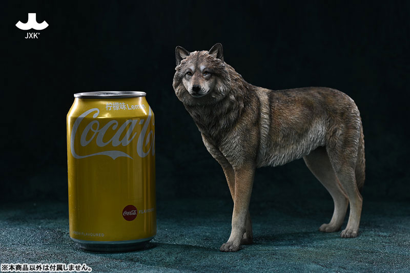 AmiAmi [Character & Hobby Shop]