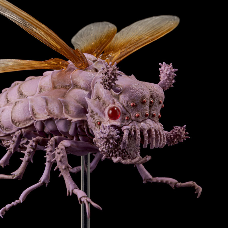 AmiAmi [Character & Hobby Shop]