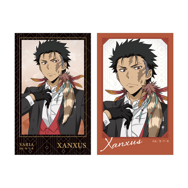 Xanxus Reborn